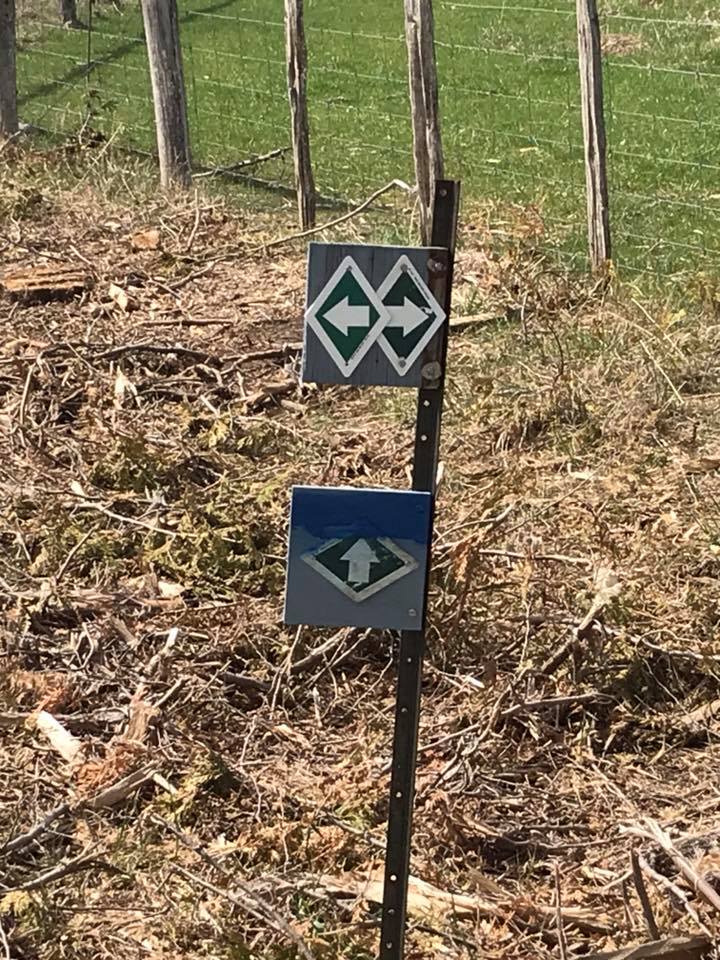 Side-by-Side Bypass Trail | Dufferin Grey ATV Club (DGATV)